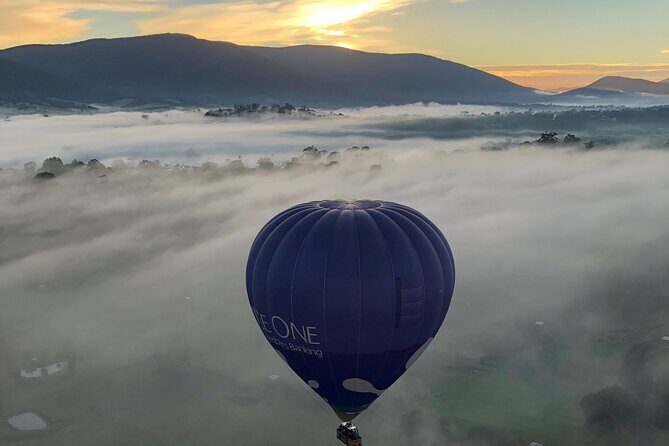 Hot Air Balloon Flight over the Yarra Valley - Who Should Book This Tour?