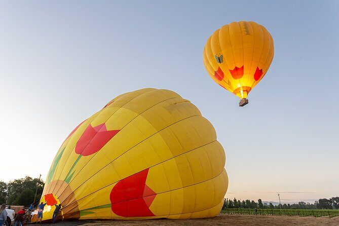 Hot Air Balloon Rides in Napa Valley - Why a Hot Air Balloon Ride in Napa Valley Is Worth Considering