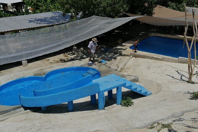 Hot Springs Water Visiting Dos Arroyos Guerrero. - Additional Activities and Considerations