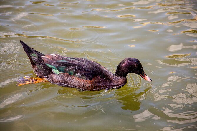 House of the Butterflies of the Collodi Pinocchio Polycentric Park - Final Thoughts