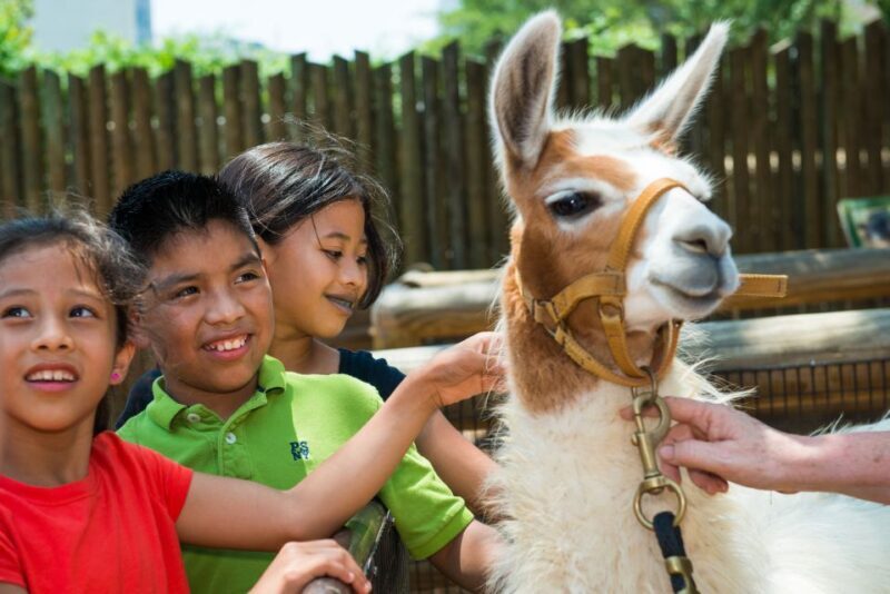 Houston CityPASS®: Save up to 51% at 5 Top Attractions - FAQs