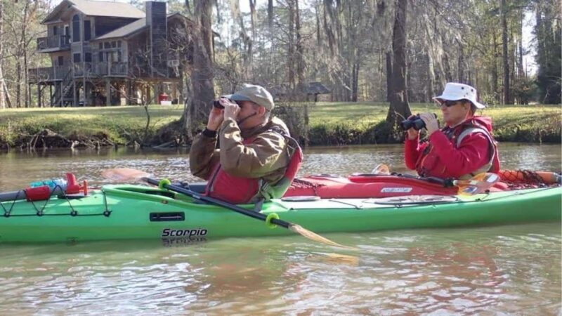 Houston: Luce Bayou Kayaking Tour