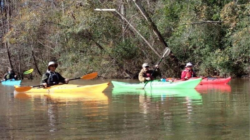 Houston: Luce Bayou Kayaking Tour - What To Expect During the Tour