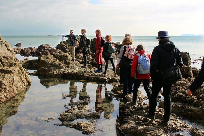 Howth Safari Hiking Tour - Authentic Insights from Reviewers