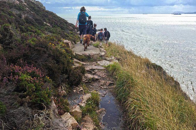 Howth Safari Hiking Tour - Final Thoughts: Who Should Book This Tour?
