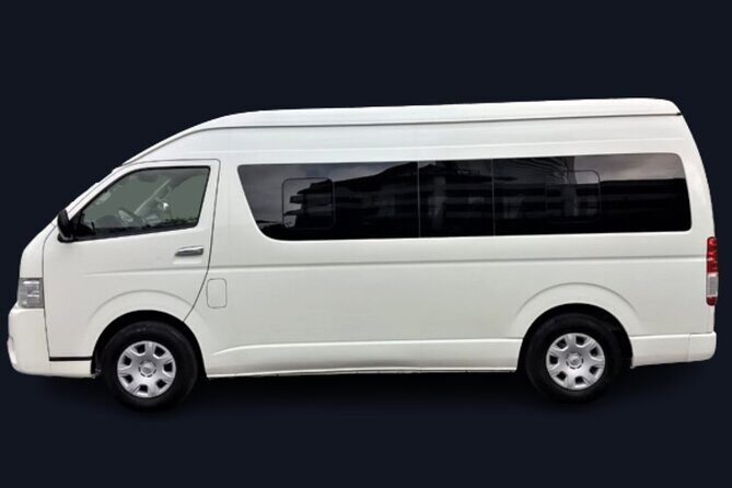 Huatulco Airport Transfer Private Service - What Travelers Say About This Service