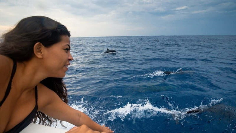 Huatulco: Awakening with Stars Dolphins Boat Cruise - Authentic Experiences from Reviews