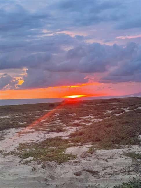 Huatulco: Bio and Liberation Tour - What Makes This Tour Stand Out?