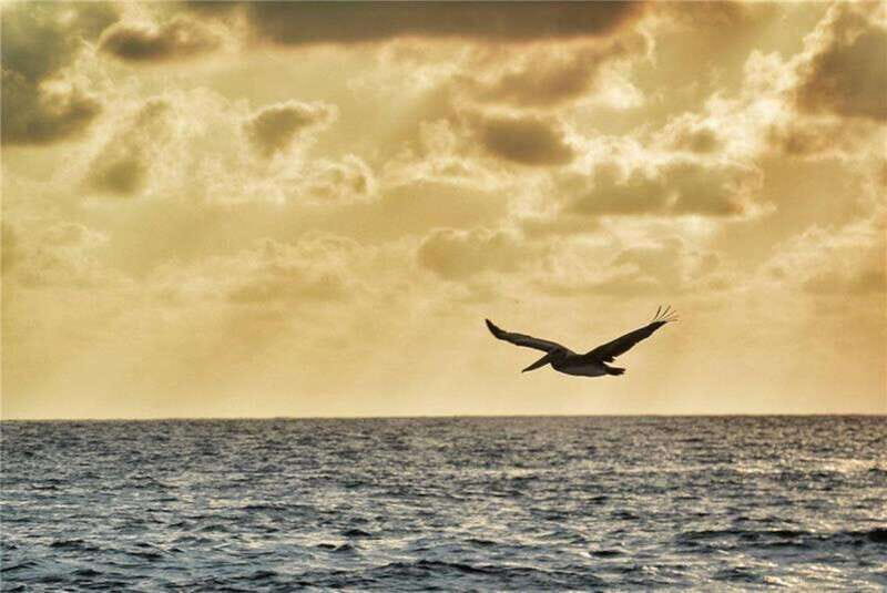 Huatulco: City Tour and Viewpoints - Authentic Experiences and Hidden Insights