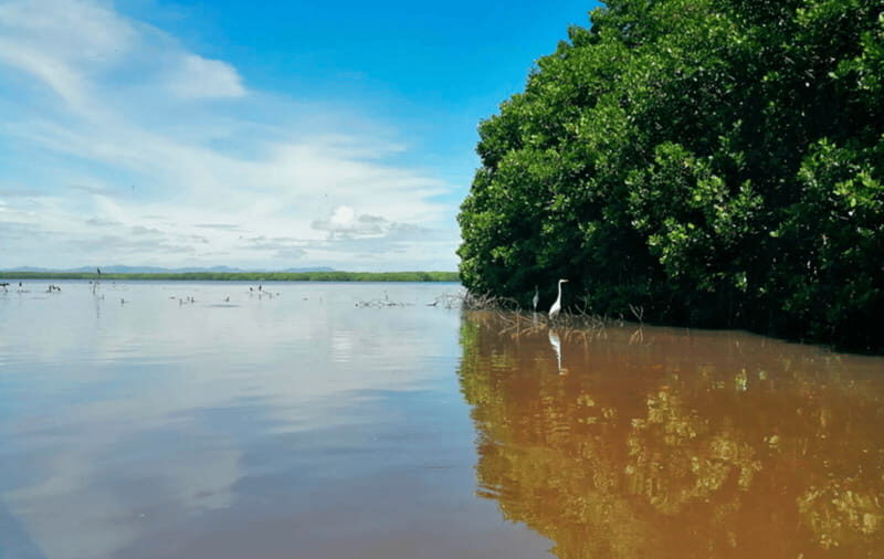 Huatulco: Laguna de Chacahua Exploration - A Deep Dive into the Laguna de Chacahua Exploration