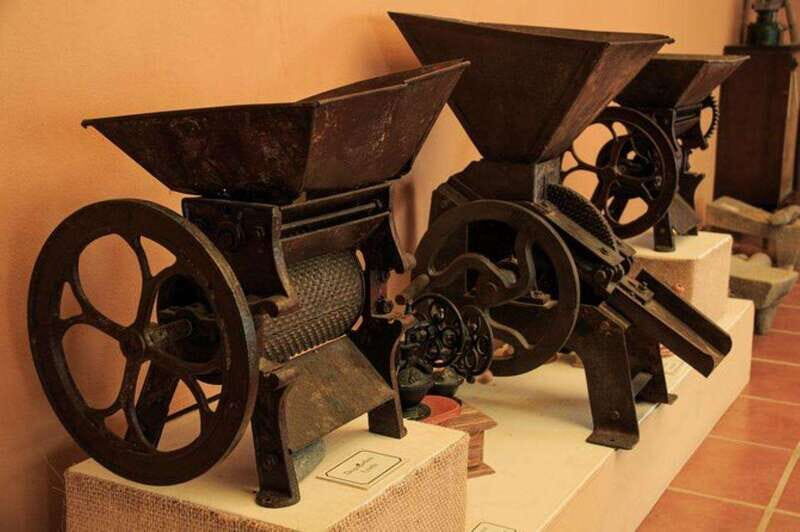 Huatulco: Local Coffee Tasting and Cultural Experience - Cultural Artifacts and Local Life