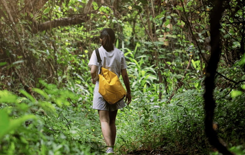 Huatulco: National Park Hiking and Snorkeling Tour - Authentic Encounters & Personal Touches