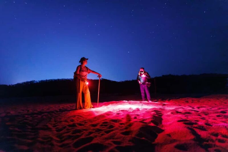 Huatulco: Nighttime Sea Turtle Monitoring guided by a biologist - Huatulco: Nighttime Sea Turtle Monitoring guided by a biologist — a detailed look