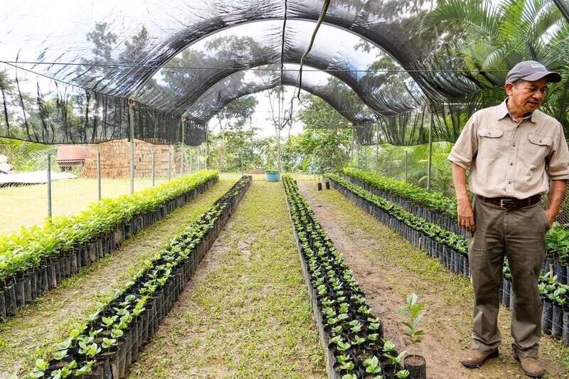 Huatulco: Pluma Hidalgo Coffee Origin and Essence. - Final Thoughts: Who Will Love This Tour?