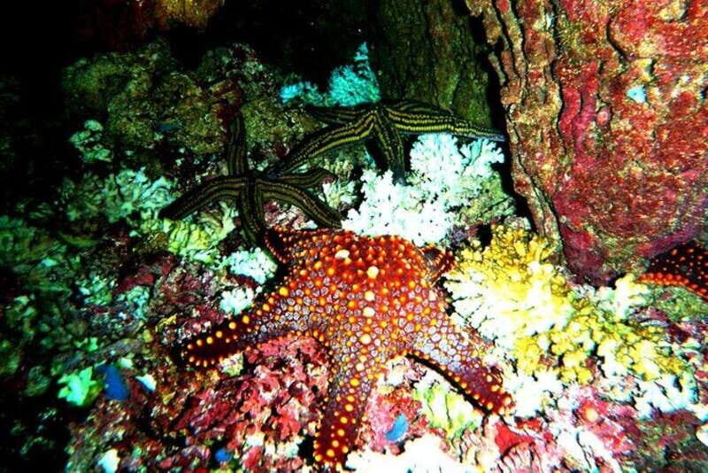 Huatulco: Premium Family Snorkeling Experience - The Sum Up