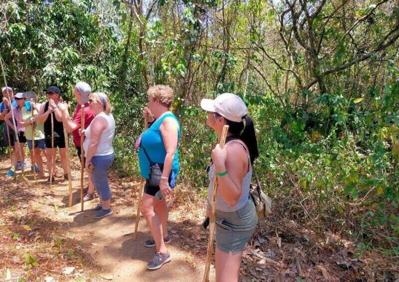 Huatulco: Private Coffee and Fruit Ranch Experience - Huatulco: Private Coffee and Fruit Ranch Experience — A Genuine Taste of Local Life