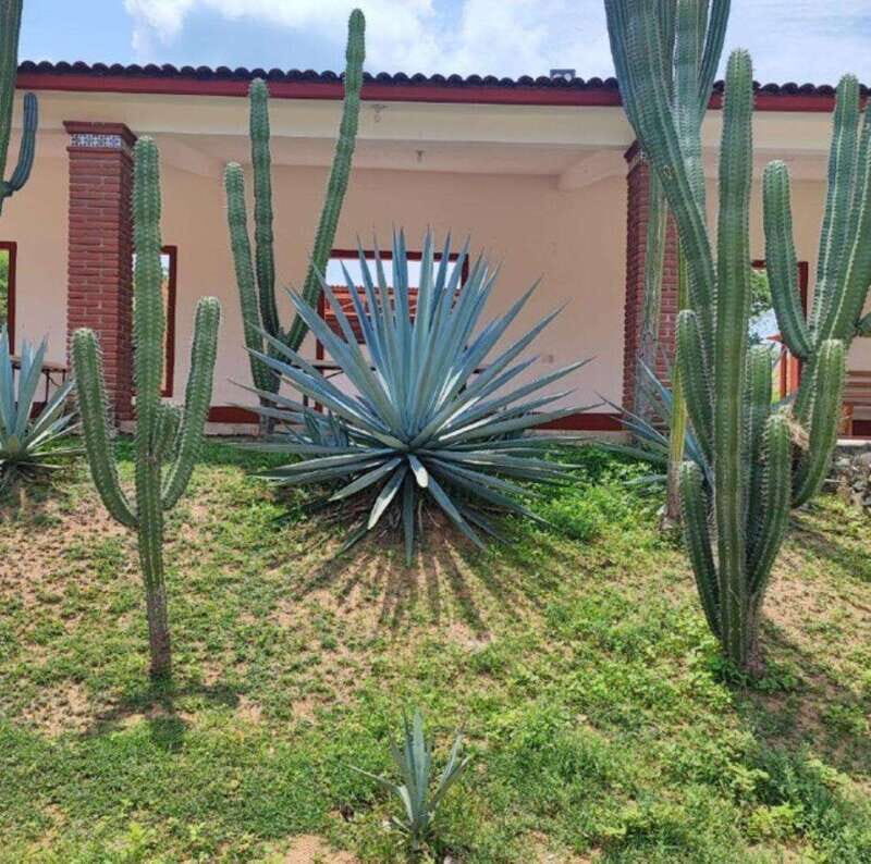 Huatulco: Private Mezcal Factory Experience - Who Is This Tour Best For?