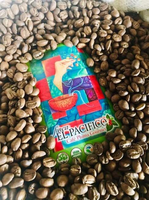 Huatulco: Santa Maria and Pluma Hidalgo Coffee Tour - Introduction