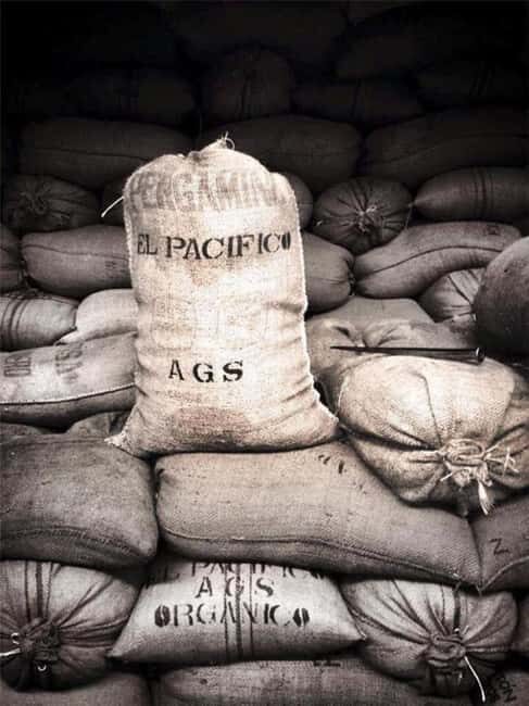 Huatulco: Santa Maria and Pluma Hidalgo Coffee Tour - Journey to Pluma Hidalgo