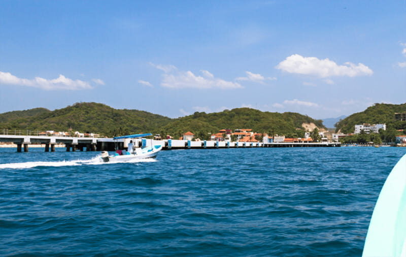 Huatulco: Sunrise Dolphin Watching with Beach Visit - An In-Depth Look at the Sunrise Dolphin Watching Tour