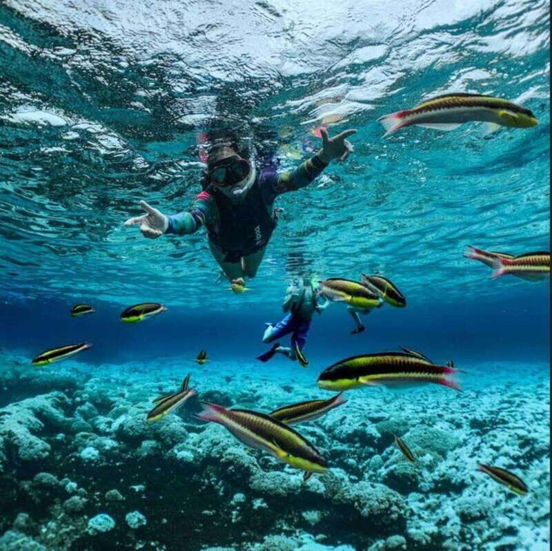 Huatulco: Tour of the Bays by Boat - Key Points