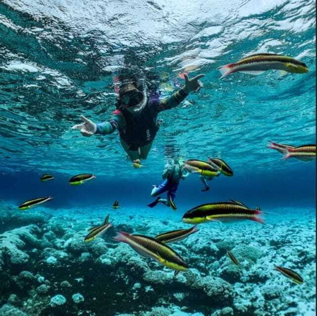 Huatulco: Tour of the Bays by Boat - Who Should Consider This Tour?