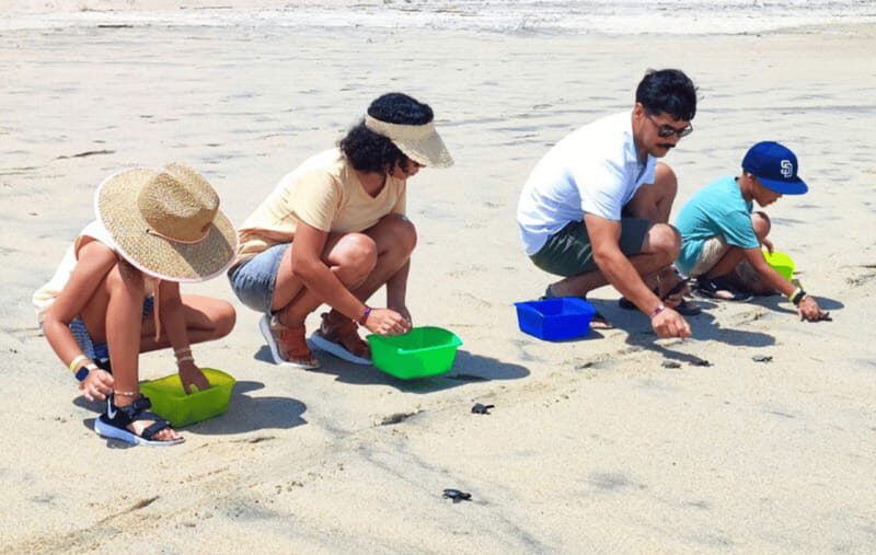Huatulco:Turtle release,horseback riding and bioluminescence - Key Points