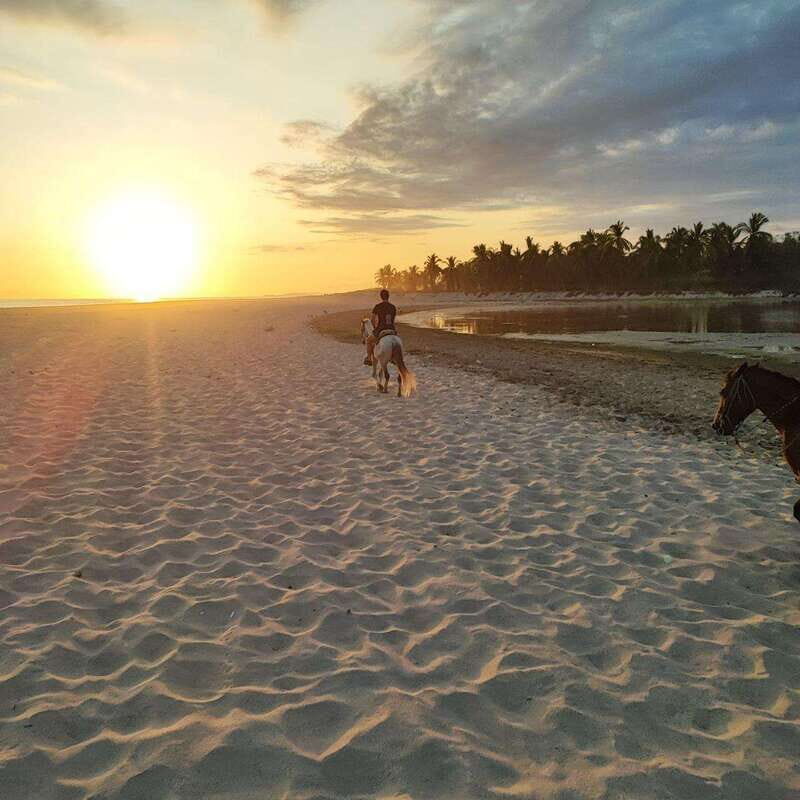 Huatulco:Turtle release,horseback riding and bioluminescence - Practical Advice for Future Travelers