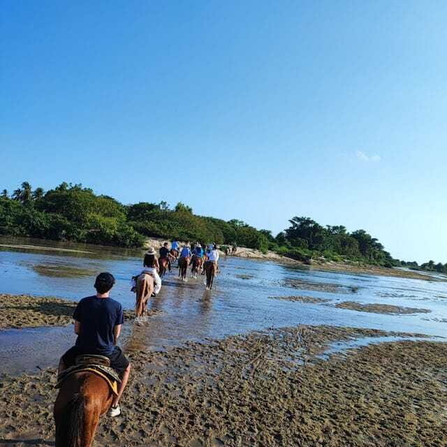 Huatulco:Turtle release,horseback riding and bioluminescence - Who Should Consider This Tour?