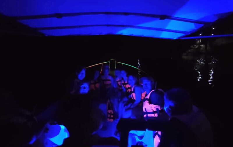 Huatulco:Turtle release,horseback riding and bioluminescence - The Sum Up