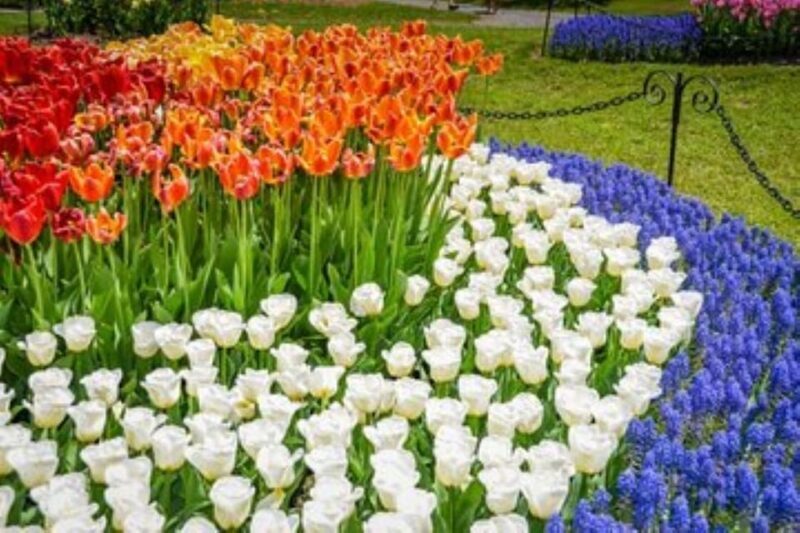 Hudson Valley: Craft Brewery Bike Tour - FAQ