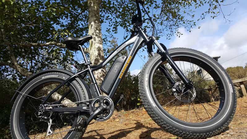 Humboldt: Electric Bike Rentals (4-Hour or Full Day options) - Key Points