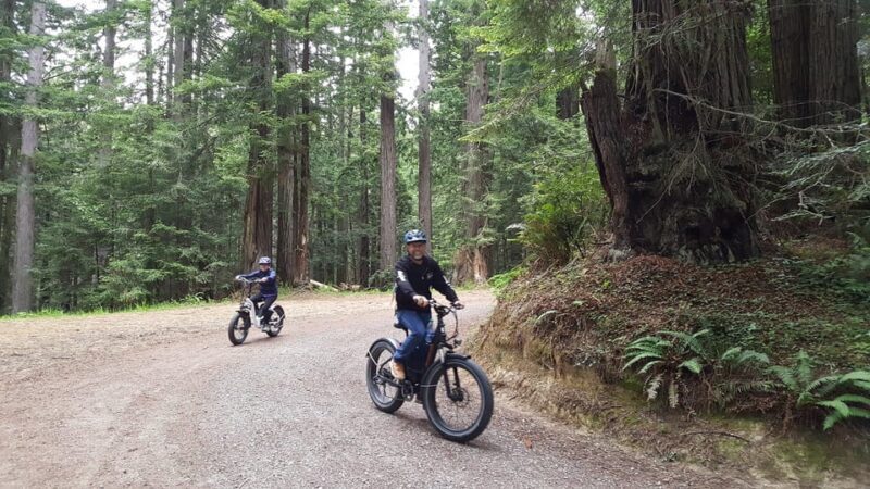 Humboldt: Electric Bike Rentals (4-Hour or Full Day options) - Who Is This Tour Best For?