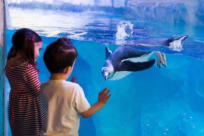 Hunstanton SEA LIFE Sanctuary General Admission Ticket - Frequently Asked Questions