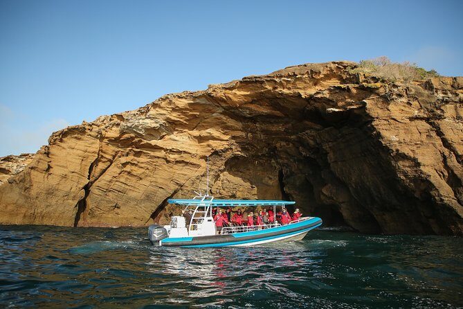 Hunter Coastal Adventure Tour by Boat from Newcastle - Hunter Coastal Adventure Tour by Boat from Newcastle: A Detailed Review