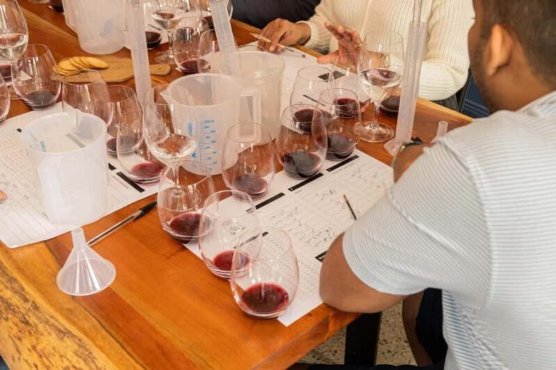Hunter Valley: A Winemaker for the Day Experience - Who Will Love This Experience?