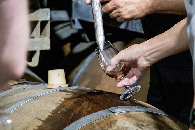 Hunter Valley All Inclusive, Wine, Chocolate Tasting and Lunch - The Full Experience: A Deep Dive into the Itinerary