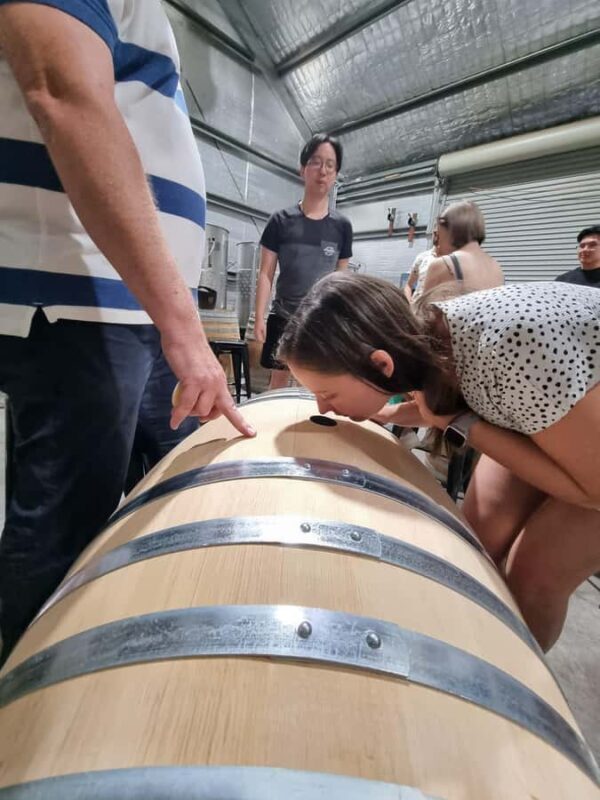 Hunter Valley: Beer & Wine Group Tour - Who Will Love This Tour?