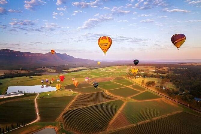 Hunter Valley Day Tour - Hunter Valley Day Tour Review: A Tasty Journey Through Australia’s Wine & Food Haven