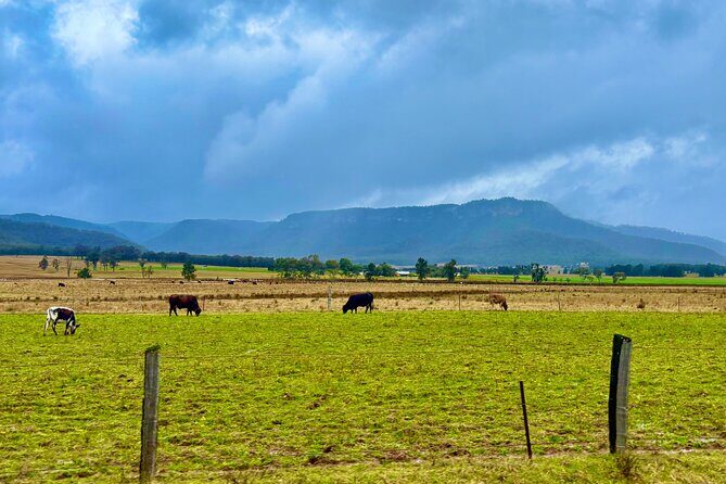 Hunter Valley Escape A Day of Wine Art and Aussie Countryside - Practical Details & Tips