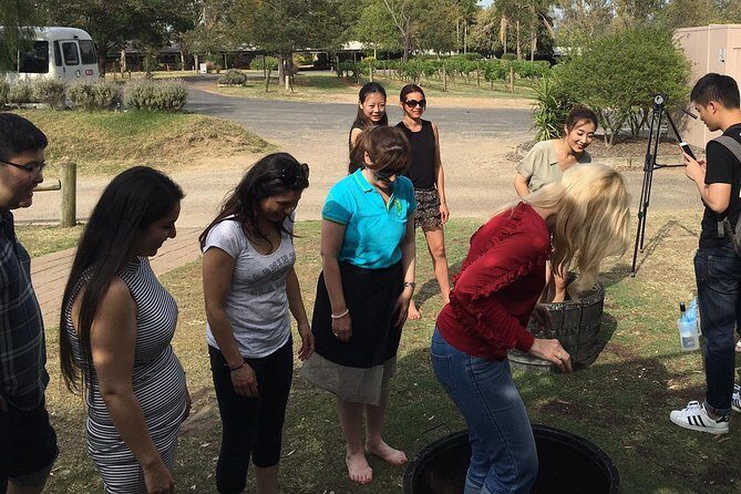 Hunter Valley Grape Stomping - Why You’ll Enjoy the Hunter Valley Grape Stomping Tour