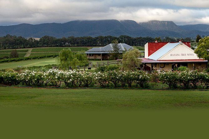 Hunter Valley Highlights Private Wine Tour from Sydney - Final Thoughts
