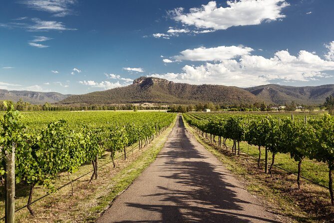 Hunter Valley Highlights Private Wine Tour from Sydney - FAQ