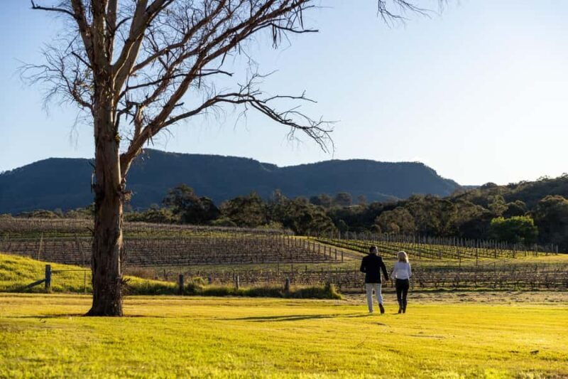 Hunter Valley: Pooles Rock Premiere Wine Tasting - An In-Depth Look at the Pooles Rock Premiere Wine Tasting