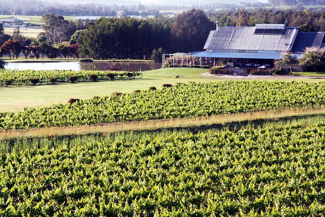 Hunter Valley Private Wine Tasting Tour from Sydney - Key Points