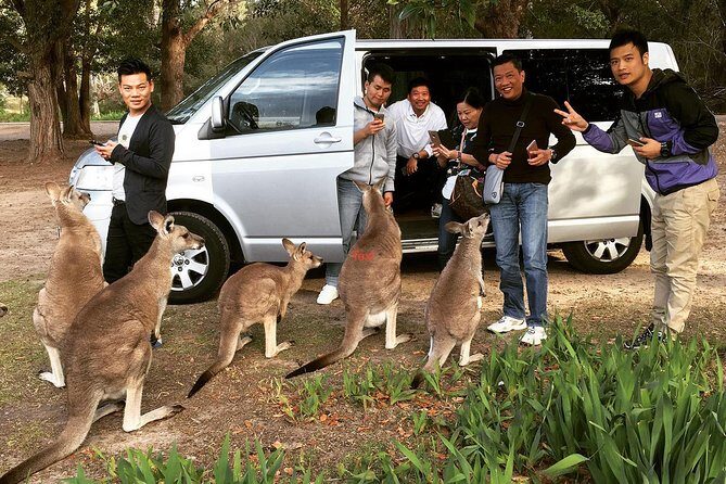 Hunter Valley Private Wine Tasting Tour from Sydney - The Sum Up