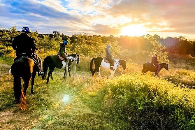 Hunter Valley Sunset Horse Ride - 90 Minutes - What to Expect from the Hunter Valley Sunset Horse Ride