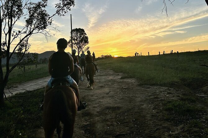 Hunter Valley Sunset Horse Ride - 90 Minutes - Why This Tour Stands Out