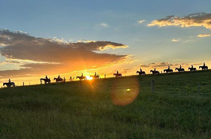 Hunter Valley Sunset Horse Ride - 90 Minutes - Who Should Consider This Experience?