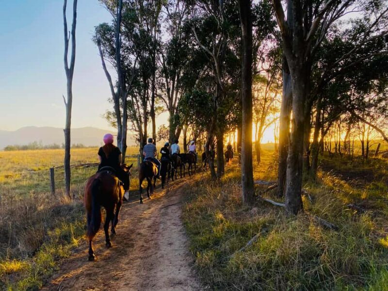 Hunter Valley: Sunset Horse Riding Tour 90min - Key Points